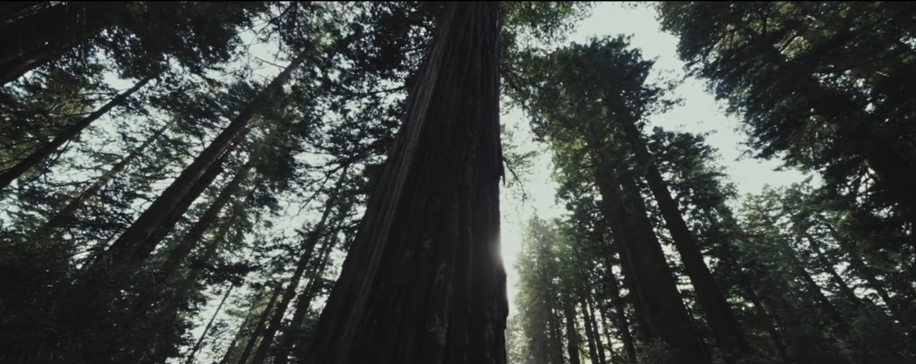 Explore nature and the Swedish mountains in Revolution Race directed by ...